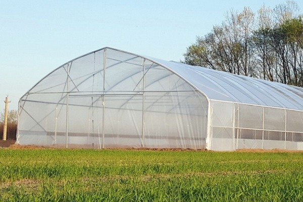 Agrofólia melegházhoz PE, UVS 1 év - 0,15 mm - 8,5 x 60 m (5